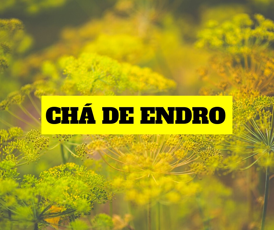 Chá de Endro: Aumenta Imunidade, Rico em Vitaminas, Benefícios - Nutriela
